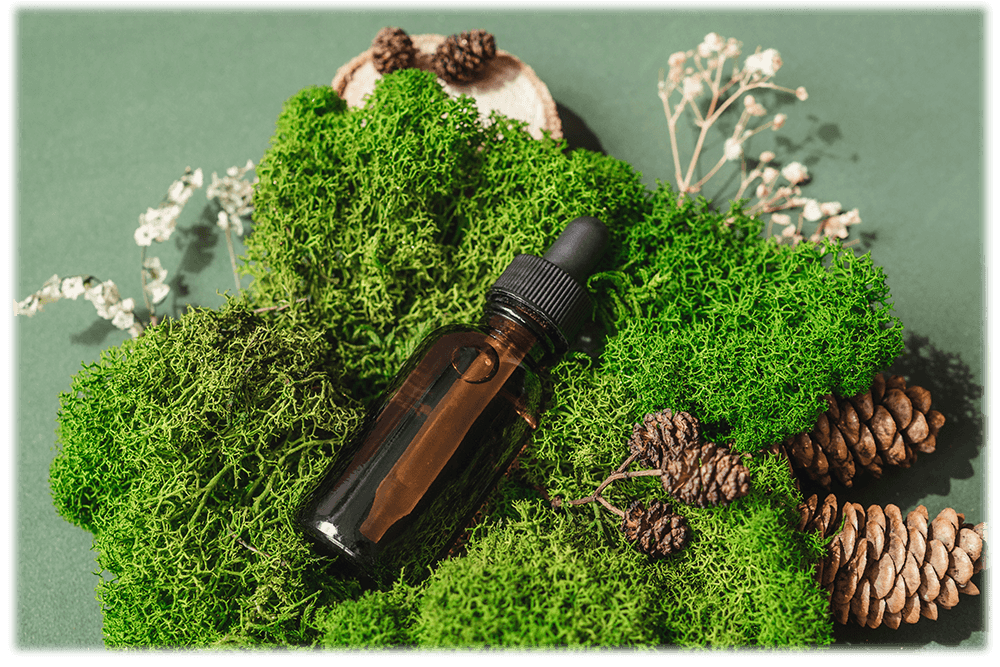 About us – Anaxus Perfumes